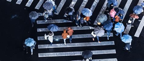 Image result for Bad Behaviour