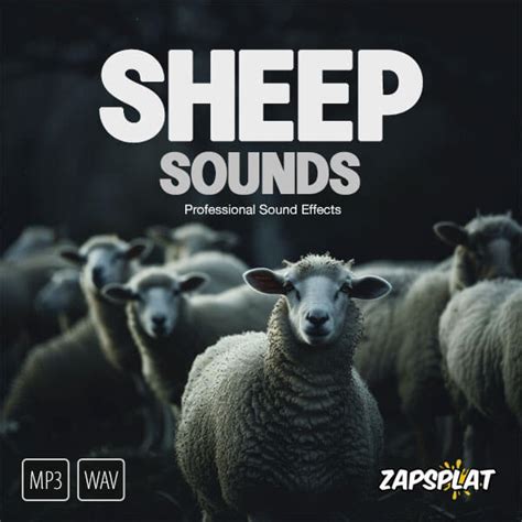 Image result for Sheep Sound Effect