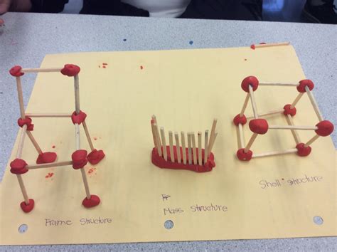 Image result for Shell Frame and Solid Structures