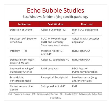 Image result for Intrapulmonary Shunt Bubble Study