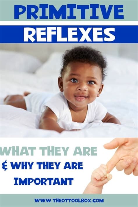 Image result for And Are Examples of Primitive Reflexes