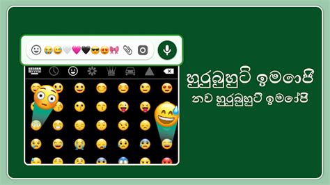 Image result for Computer Apps Sinhala