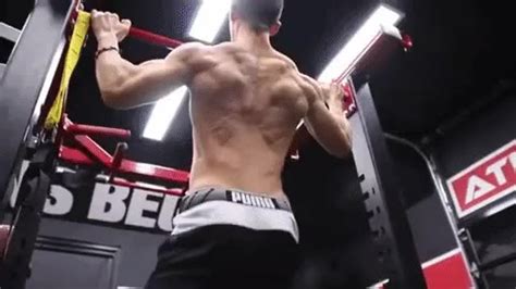 Image result for Athlean X Back Exercises