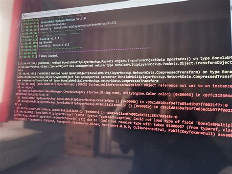 Image result for BoneLab Multiplayer Mod Download