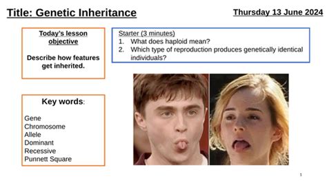 Image result for GCSE Inheritance Questions and Answers