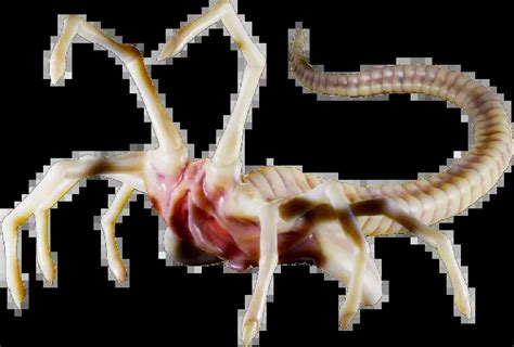 Image result for Alien Mugger