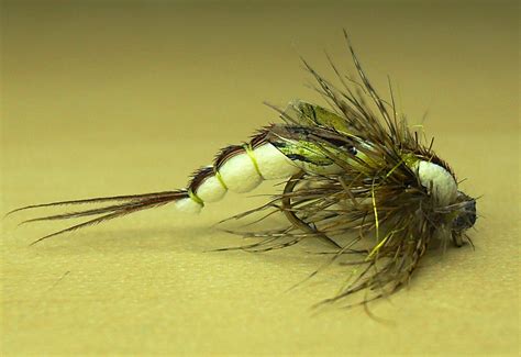 Image result for Caddies Emerger Fly Pattern