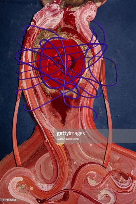Image result for Bruce Perry Brain Mapping