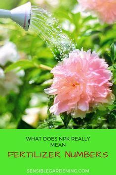 Image result for NPK Numbers