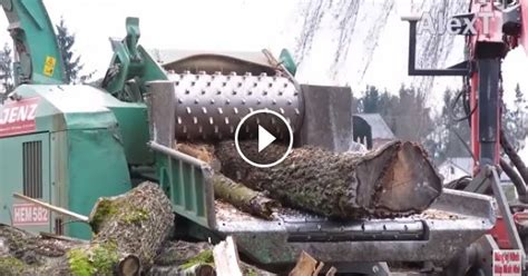 Image result for Massive Machine Tree Shredder