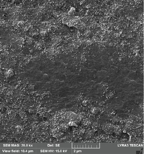 Image result for Cnt Masterbatch