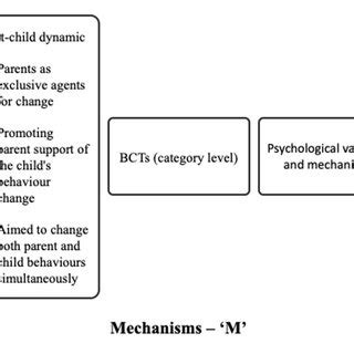 Image result for Program Theory Matrix