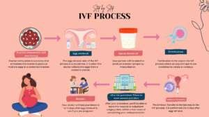 Image result for IVF Process