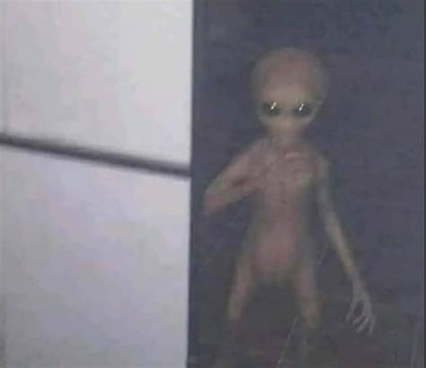 Image result for Alien Ear Rape