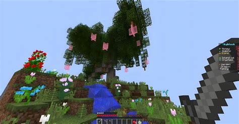 Image result for Minecraft Java Skyblock Servers