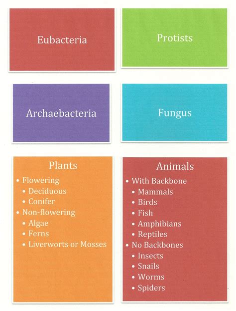 Image result for Life Classification