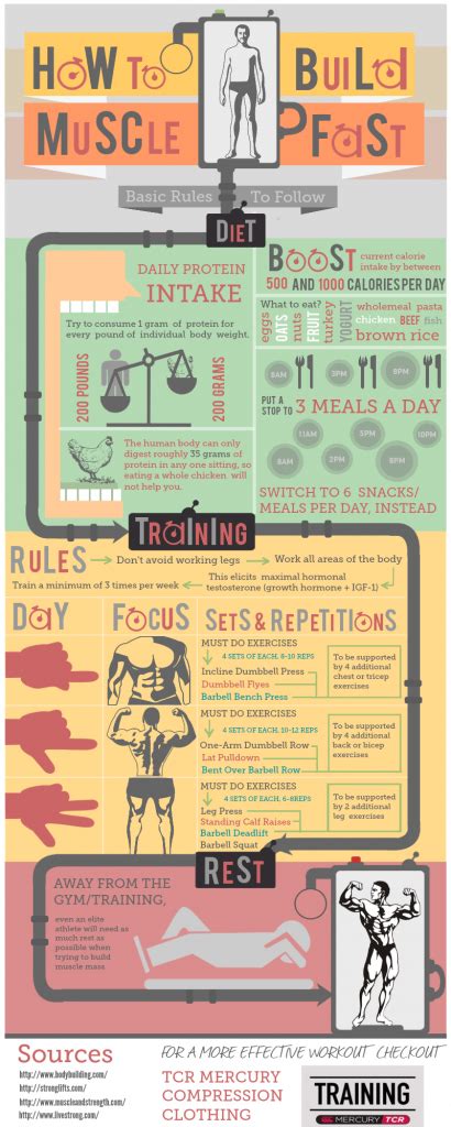 How To Build Muscle Fast [INFOGRAPHIC]