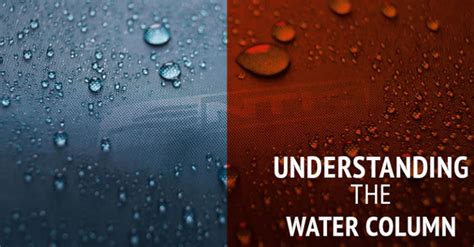 Image result for Water Column Example