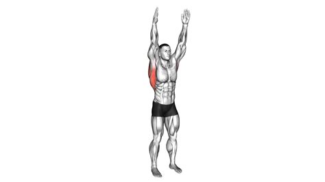 Image result for Dynamic Lower Back Stretch