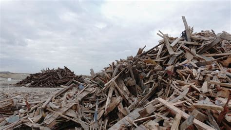 Image result for Plastic Splinter