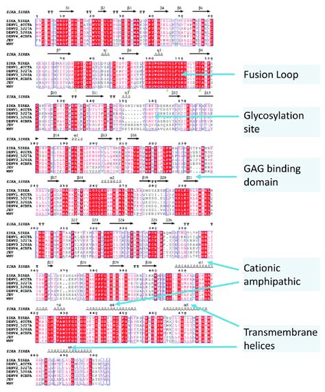 Image result for Envelope Sequence Alignment