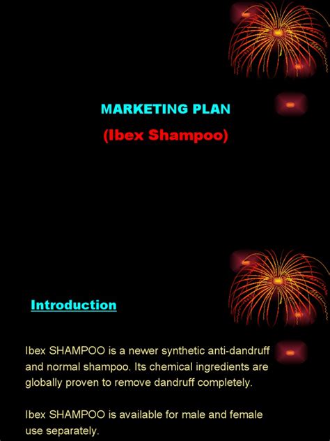 Image result for Segmentation in Marketing Examples Shampoo