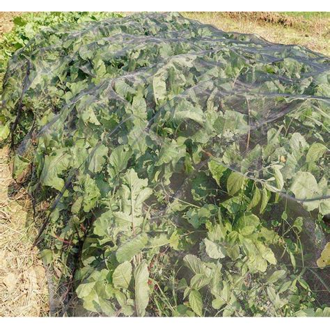 Image result for Insect Net