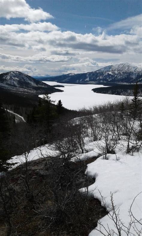 Image result for Snow Sampling