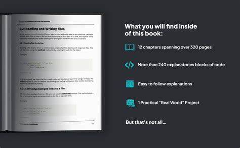 Image result for See Inside Programming with Python Book