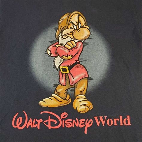 Image result for Disney World Grumpy