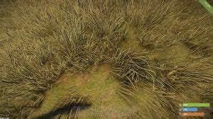 Image result for Rust Game How to Remove Grass