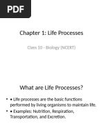 Image result for Class 10th Chapter 1 Life Process