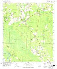 Image result for Pineland SC Map