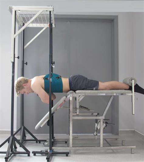 Image result for Trunk Extension Exercises