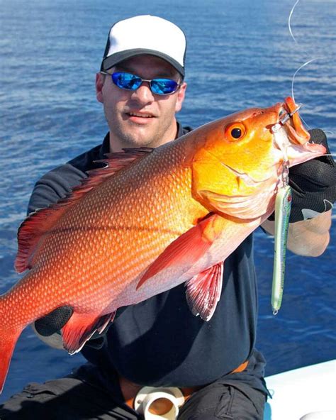 Image result for Reef Fishing Tips