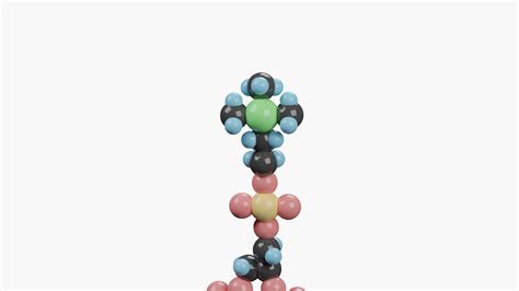 Image result for Phospholipid Structure Model