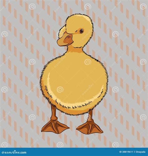 Image result for Duckling Front View