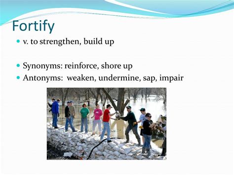 Image result for Define Fortify
