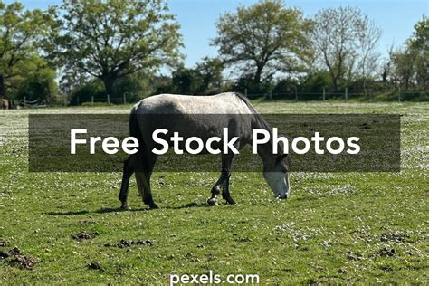 Image result for Cursor VIP