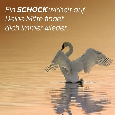 Image result for Bladder Channel TCM