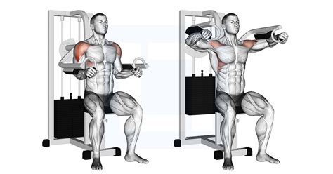 Image result for Side Lateral Raises Form