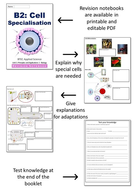Image result for BTEC Applied Science Muscle Cell