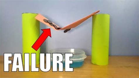 Image result for 3rd Grade Science Project Display