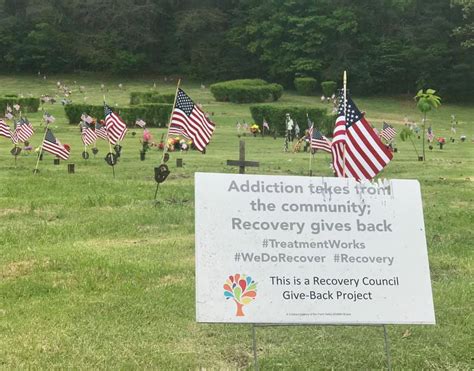 Image result for Grayback Recovery