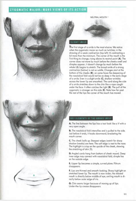 Image result for How to Draw Realisim Tutorial