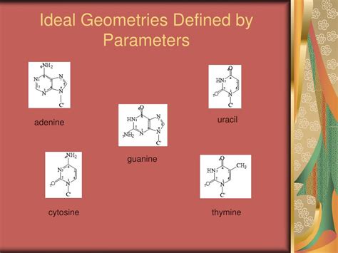 Image result for Nucleic Acid Database