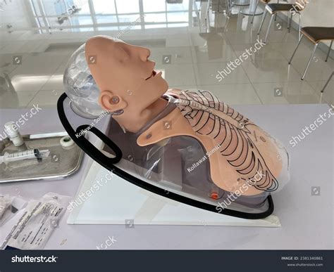 Image result for Intubation Training