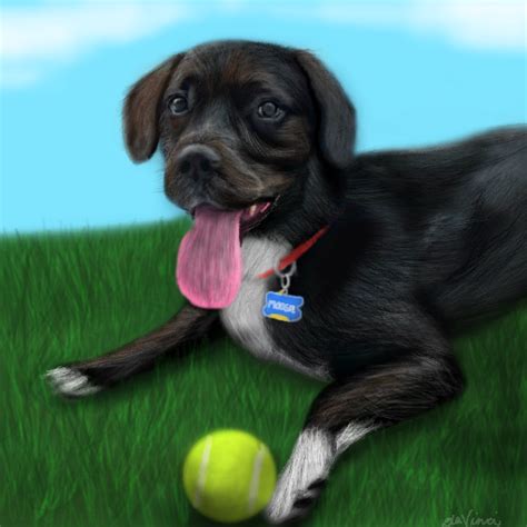 Image result for Cat Playing Rust