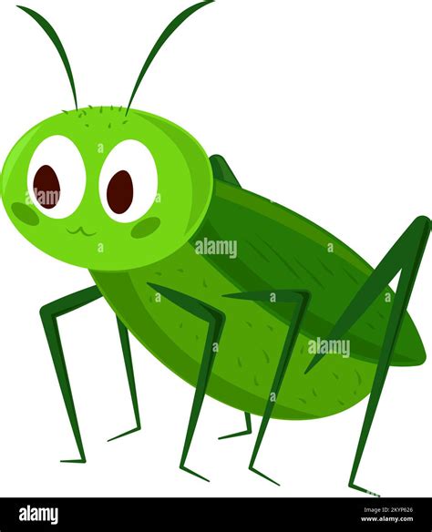 Image result for Cricket Insect Jump Animation