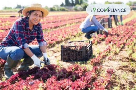 Image result for H-2A Program